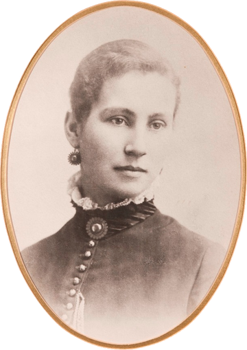 History of Mitchell and Son